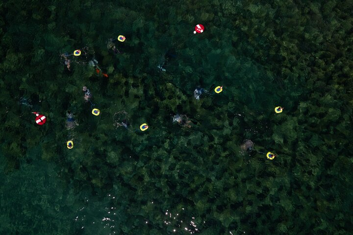 Snorkeling Experience on a NEMO Diving System Harga Promo Terbaru 2023