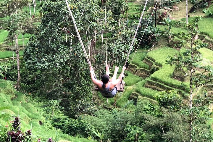 Bali Swing Ubud Hot Spring Waterfall Volcano Private Guided Tour - Free ...