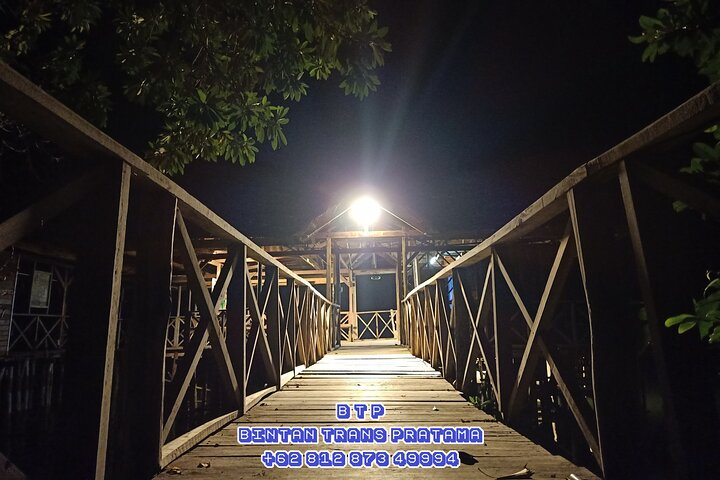 Bintan Fireflies Discovery Tour Harga Promo Terbaru 2023