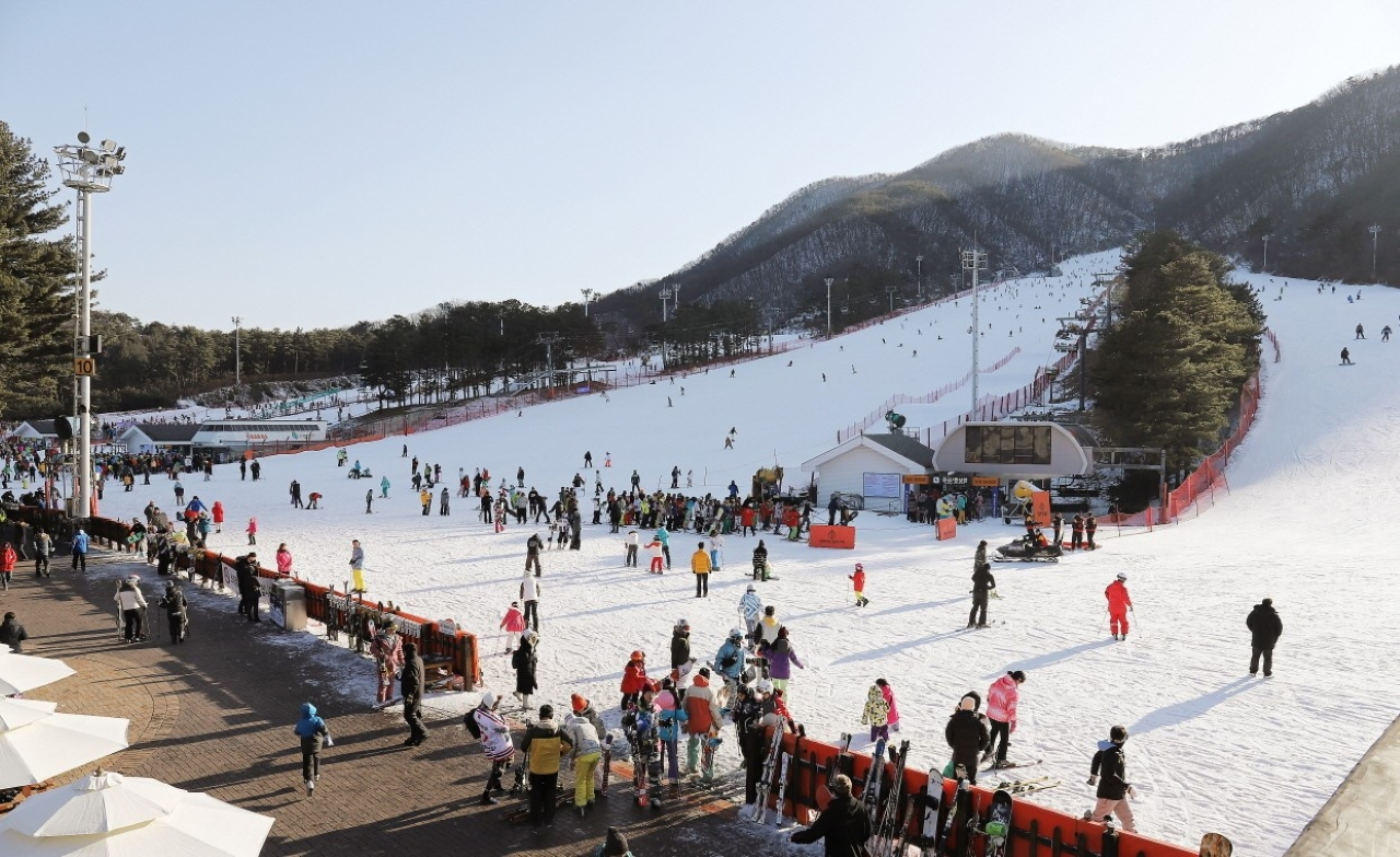 Jisan Forest Ski Resort Day Trip from Seoul Diskon 50% Harga Tiket Masuk