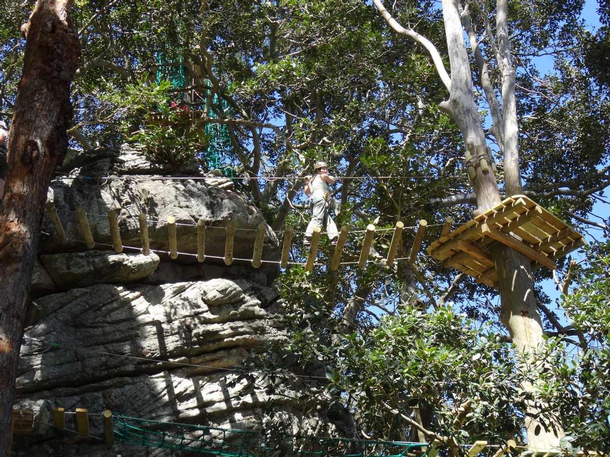 Tiket Nowra Treetop and Zipline Adventure Harga Promo - tiket.com