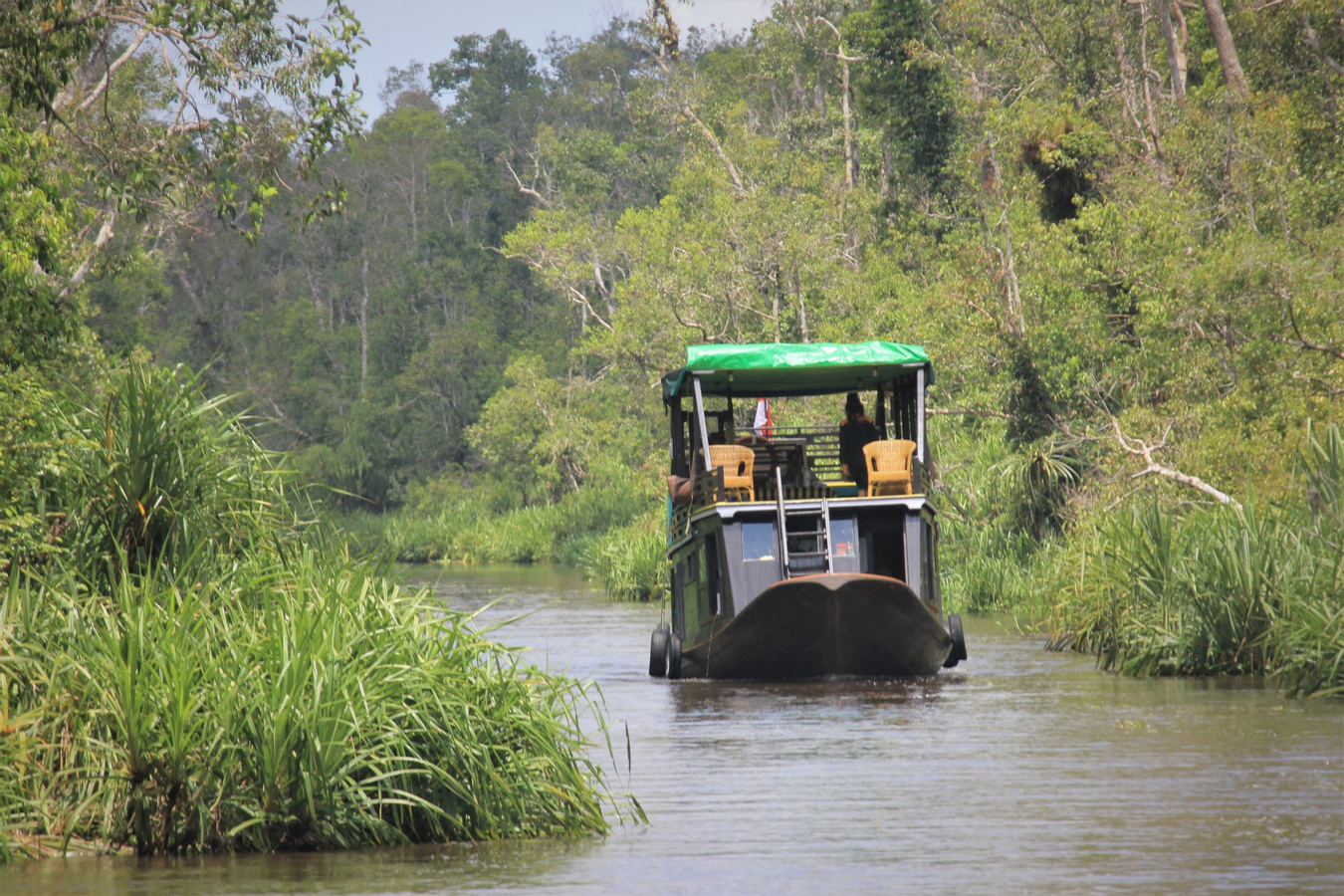 Get Ticket Orangutan Kelotok Tour 4D3N (International) Promo Prices ...