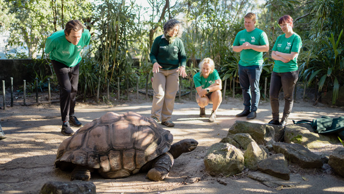 Get Ticket Taronga Zoo Entry and 1-Day Harbour Ferry Pass Promo Prices ...