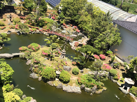 Fukui Awara Onsen Hot Spring & Matcha Experience Tour Diskon 50% Harga ...