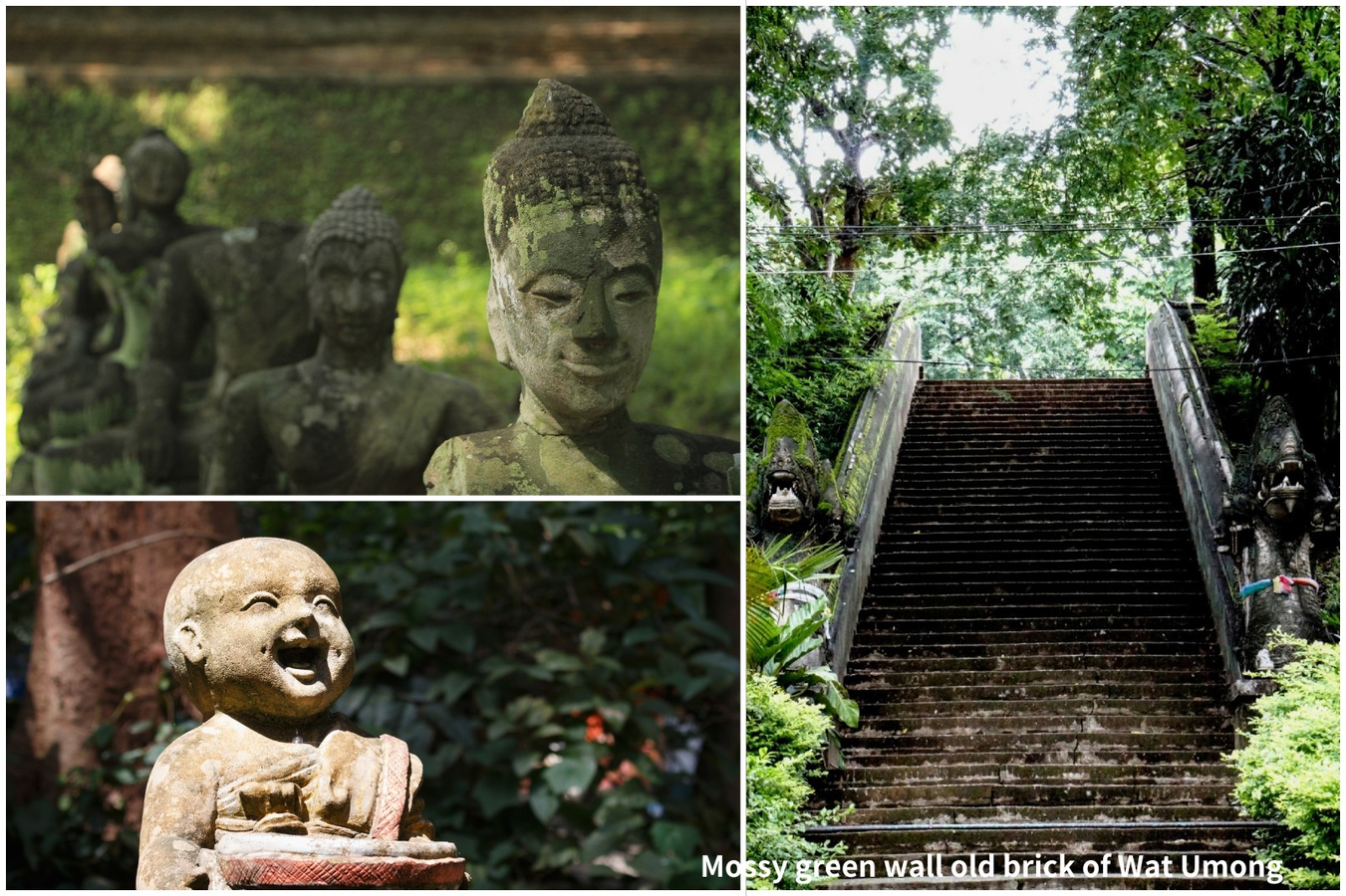 Tiket Doi Suthep and Wat Umong Night Tour in Chiang Mai Harga Promo ...