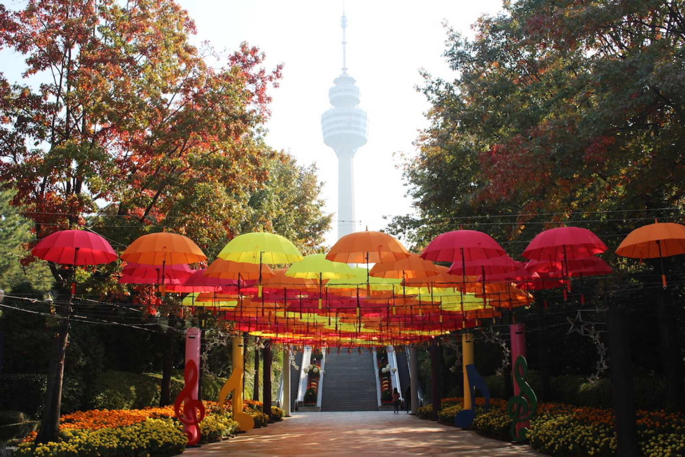 Get Ticket E-World Park & 83 Tower: Admission Ticket | Daegu, South ...