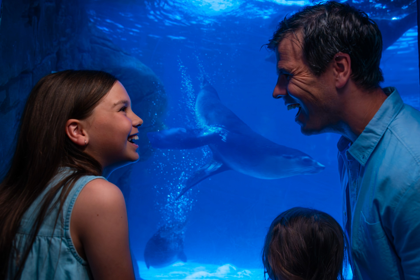 SEA LIFE Sunshine Coast Aquarium 50% Off Entry Ticket Price