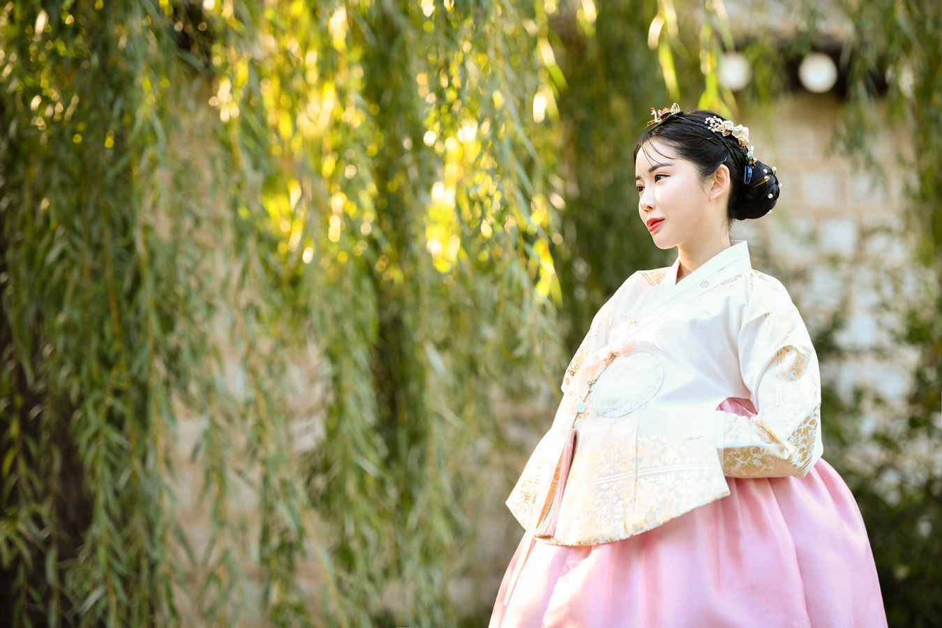 Photoshoot, Premium Hanbok Rental and Make-up at Gyeongbokgung 50% Off ...