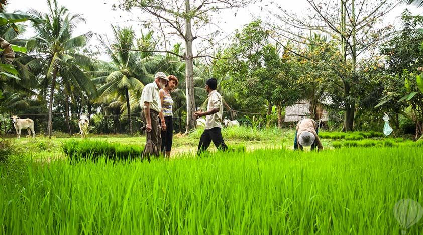 Tiket Experience "A Day in Life" Of Cambodian Farmer Tour Harga Promo ...