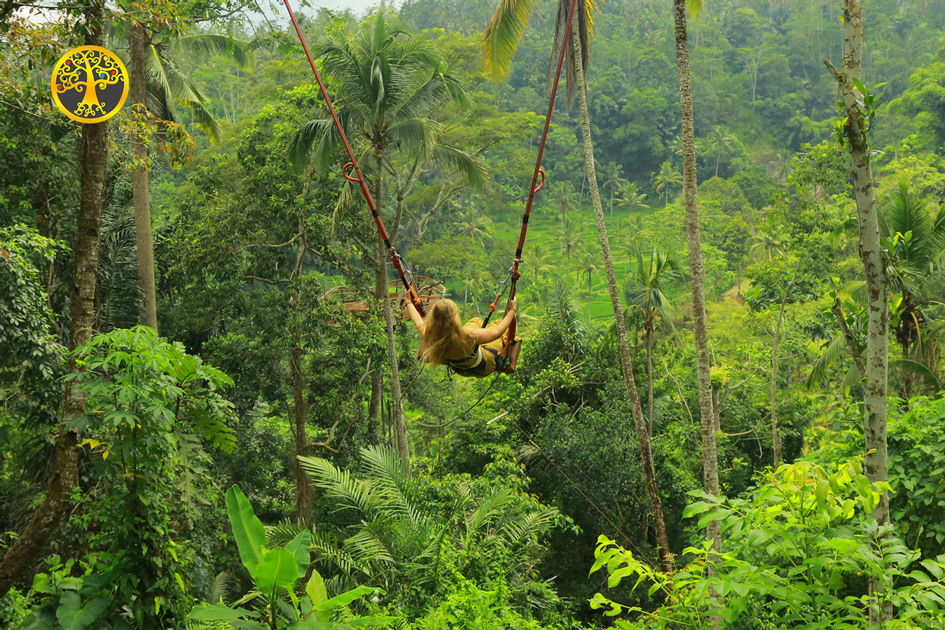 Tiket Ubud Nature Walk with Flying Fox, Spa or Jungle Swing Experience ...