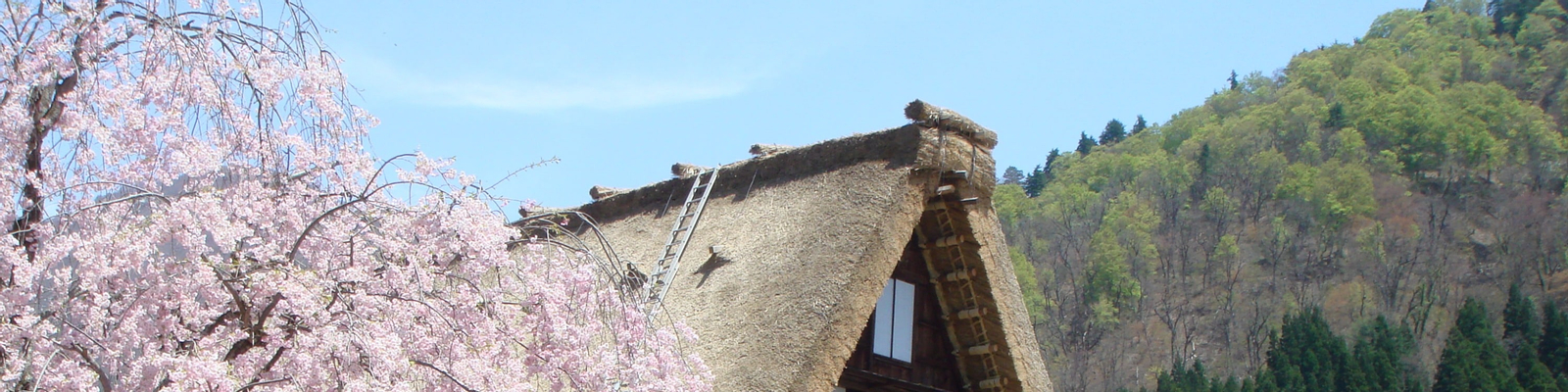 Shirakawago & Gujo Hachiman & Hida Takayama One Day Tour from Nagoya 50% Off Tour Package