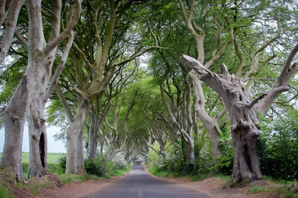 Game of Thrones, Westeros & Giant's Causeway Day Tour from Belfast 50% ...