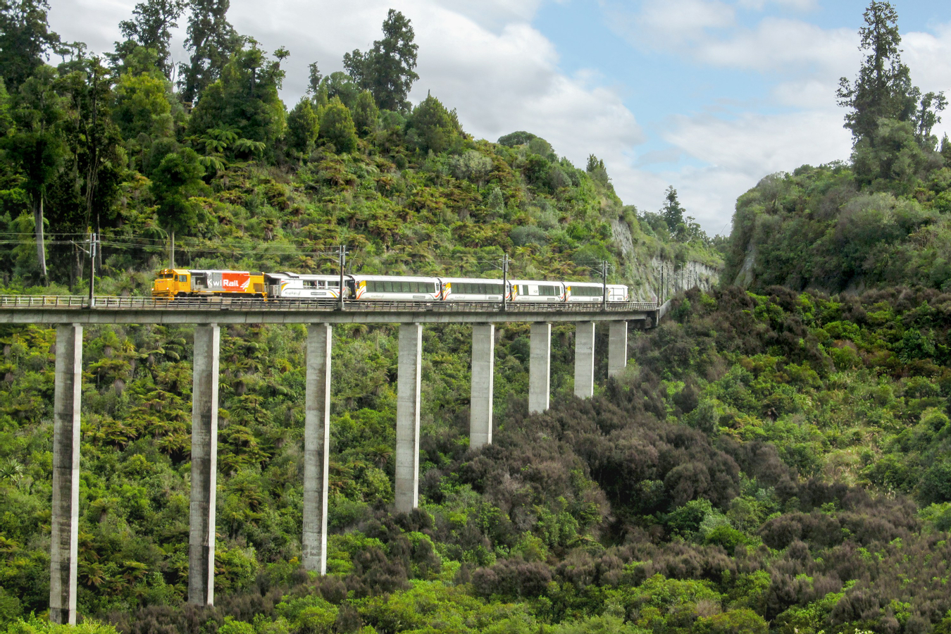 Northern Explorer Train Ticket between Auckland and Wellington Diskon ...