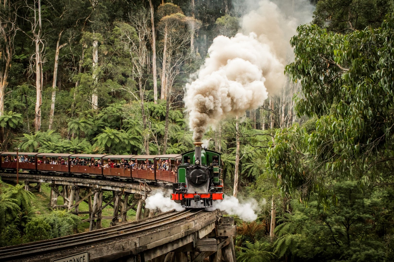 Tiket Puffing Billy Railway or Bus Tour - Harga Tiket Masuk Terbaru