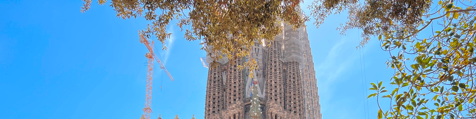 Gaudi & Sagrada Familia Guided Tour 50% Off Entry Ticket Price