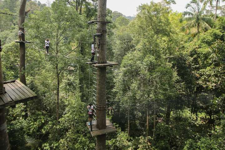 SKYTREX Adventure Langkawi 50% Off Entry Ticket Price