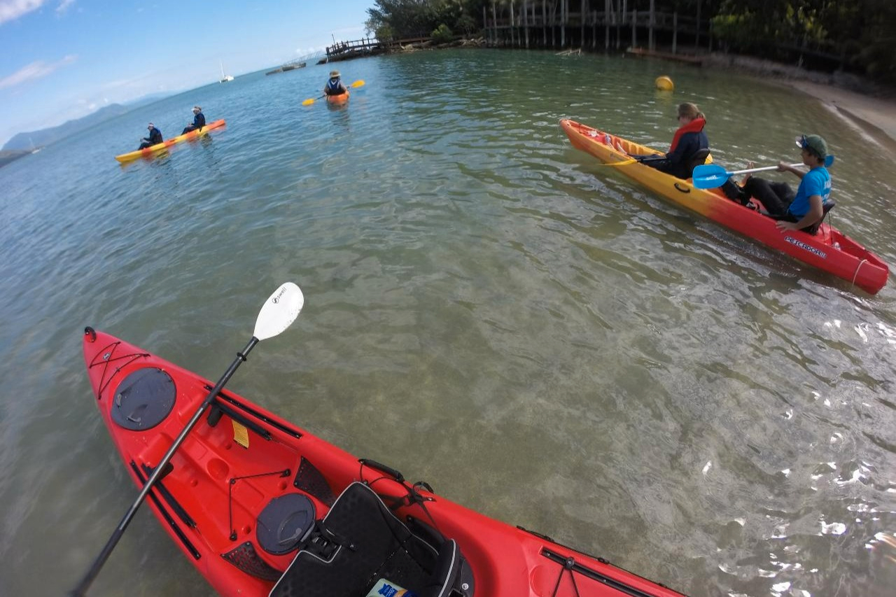 Half Day Kayak Turtle Tour in Cairns Diskon 50% Paket Tur