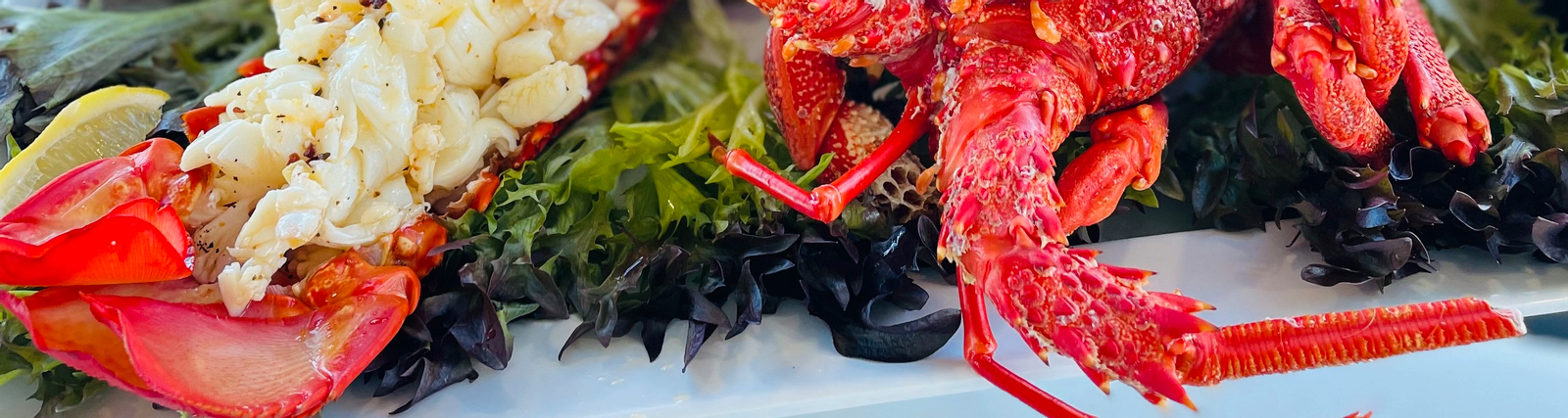 Tasmanian Seafood Experience Diskon 50% Harga Tiket Masuk