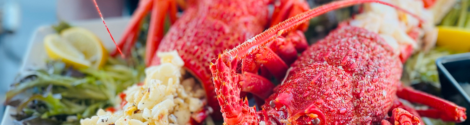 Tasmanian Seafood Experience Diskon 50% Harga Tiket Masuk