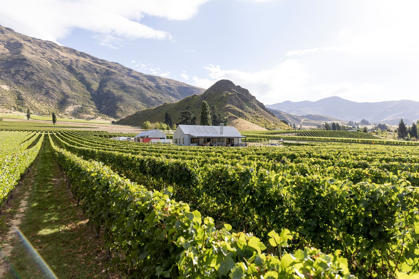 Wine Tasting Sampler Tour from Queenstown Diskon 50% Harga Tiket