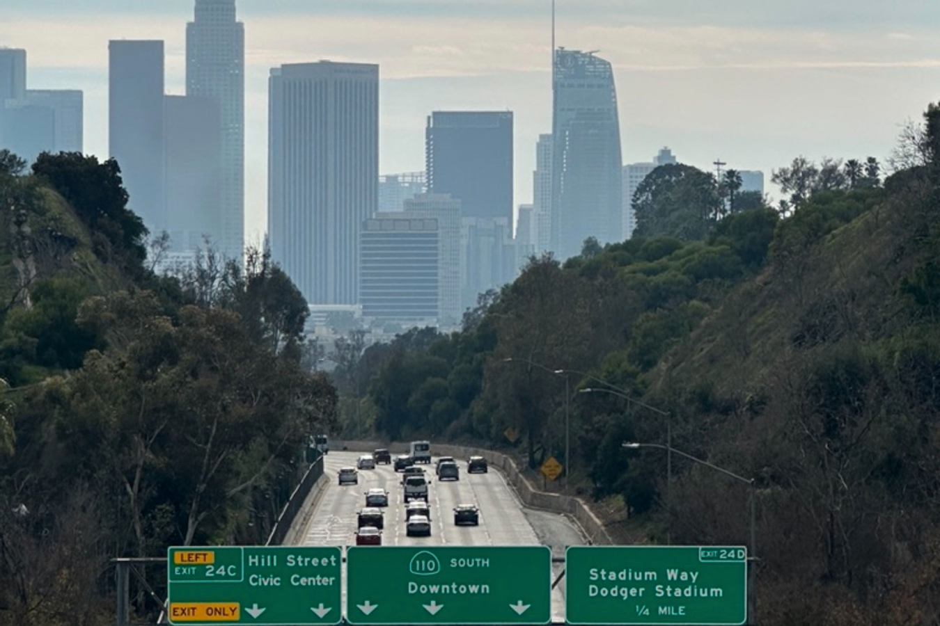 Wild Backside of Griffith Park and LA River Bike Tour 50% Off Entry ...