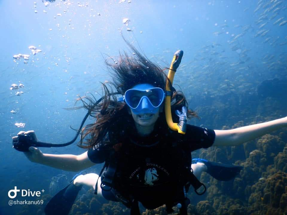 Paket Koh Kood Dive Dreams: Your Open Water Course with PADI 5* Center ...