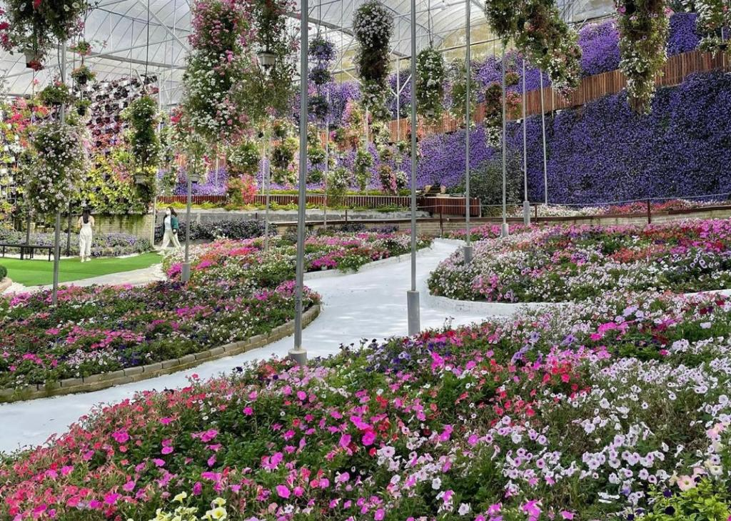 Flora Park in Cameron Highlands 50% Off Entry Ticket Price