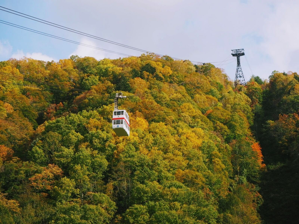 Tour from Takayama: Hida Folk Village, Caves & Shinhotaka Ropeway ...