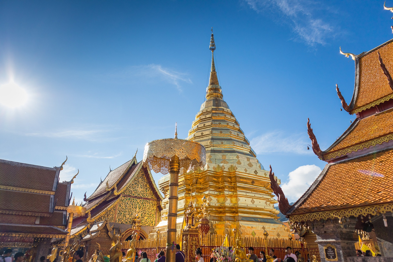 Chiang Mai Elephant Experience, Wat Pha Lat & Doi Suthep - Full Day 50% ...
