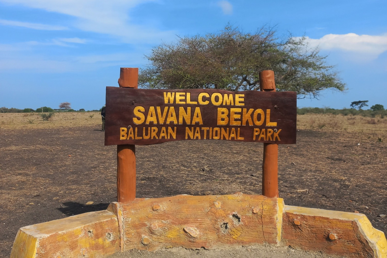 Baluran National Park Safari Tour in Banyuwangi Diskon 50% Paket Tur