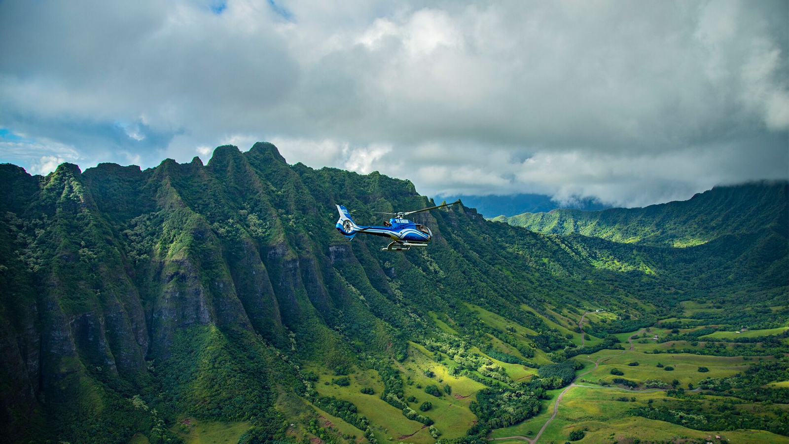 Discover North Shore Helicopter Tour from Turtle Bay, Oahu Diskon 50% ...