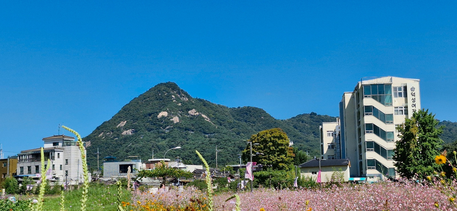 Bukchon & Bugaksan Walking Tour (Love Next Door shooting Places) Diskon ...