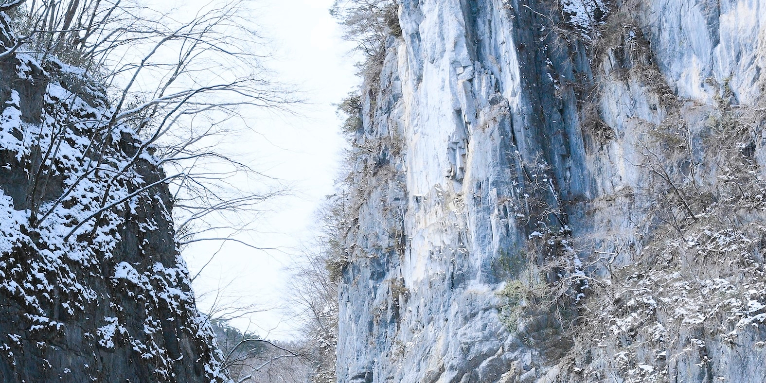 Geibikei Gorge River Boat Ride Experience in Iwate 50% Off Ticket Price