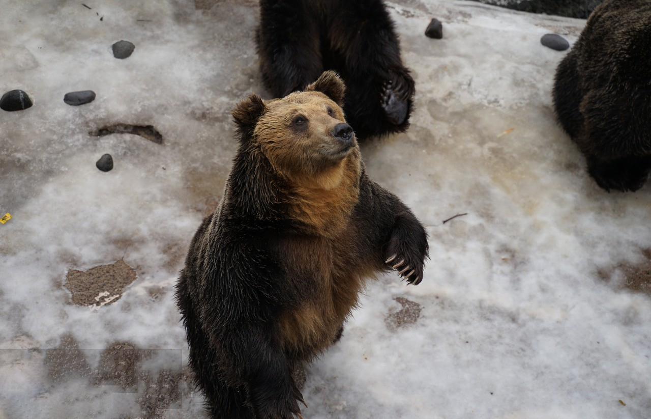 Tiket [Hokkaido Noboribetsu Lake Toya] Lake Toya & Noboribetsu Hell ...
