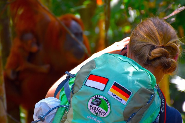 ORANGUTAN TREK (2D/1N) by EcoTravel Bukit Lawang Diskon 50% Harga Tiket ...