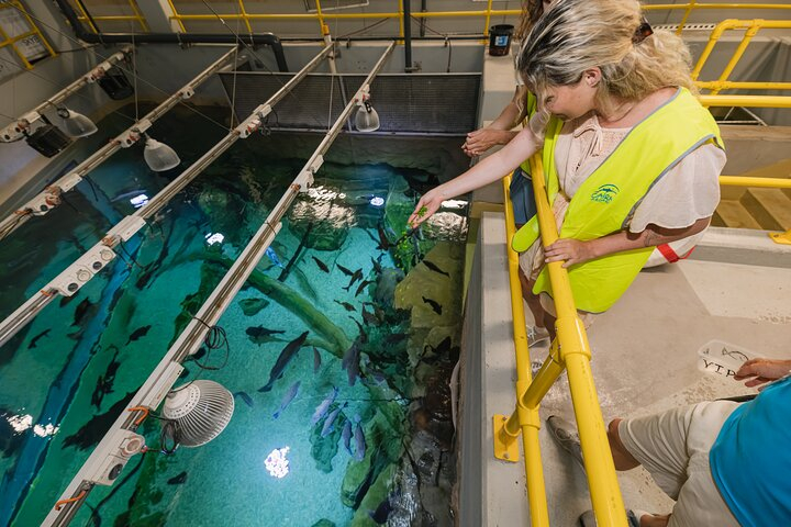 Cairns Aquarium Marine Life Encounter Ticket - Newest Entry Ticket Prices