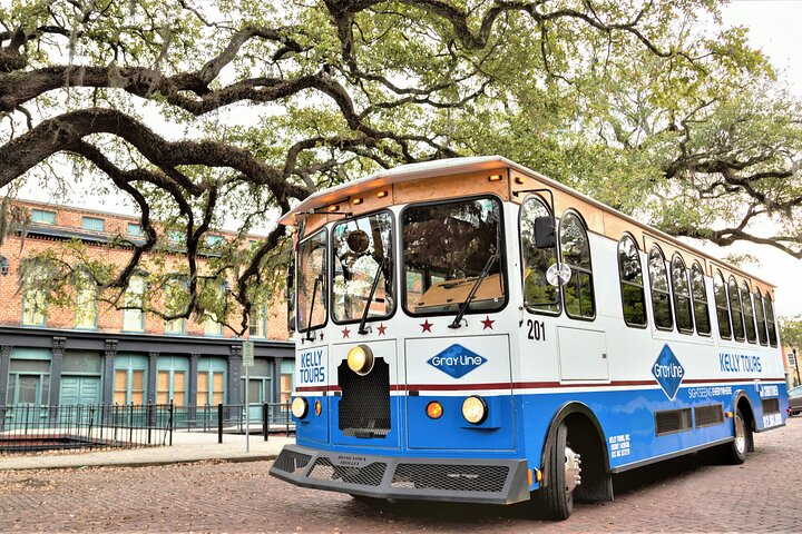Savannah Land & Sea Combo: City Sightseeing Trolley Tour with Riverboat ...