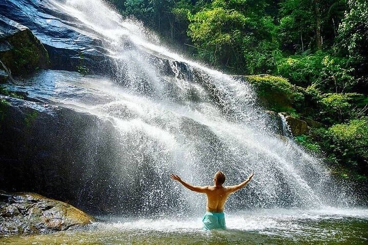 Templer Park and Kanching Waterfall Nature Tour 50% Off Entry Ticket Price
