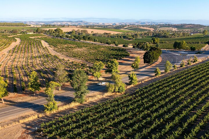 Ultimate Barossa Adventure Day Tour For 2 - Combined Mustang ...
