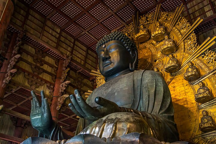 Nara, Todaiji Temple & Kuroshio Market Day BUS Tour from Osaka Diskon ...