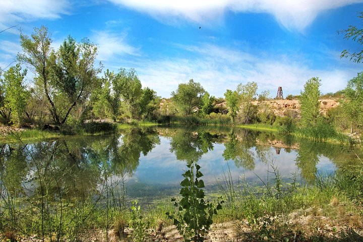 Skip the Line: Springs Preserve in Las Vegas Admission Ticket - Newest ...