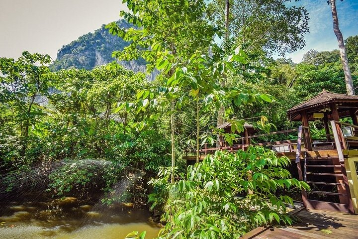 Templer Park and Kanching Waterfall Nature Tour 50% Off Entry Ticket Price