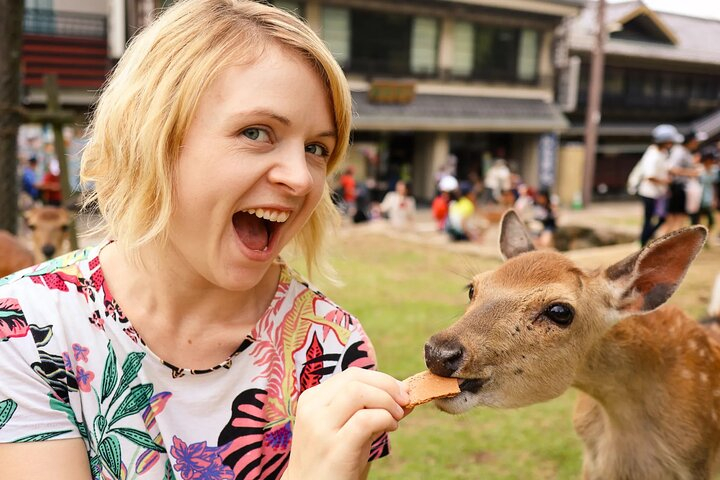 Nara, Todaiji Temple & Kuroshio Market Day BUS Tour from Osaka Diskon ...