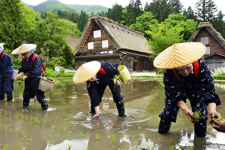 Shirakawago Tour: English Speaking Driver Only(Kanazawa DEP.) Diskon 50 ...