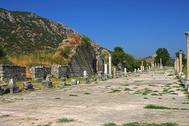 Shore Excursion Ephesus: Half-Day Tour of Ancient Ephesus 50% Off Entry ...