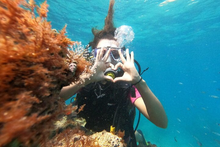 Tiket Scuba Diving Tour With Lunch in Alanya Harga Promo - tiket.com