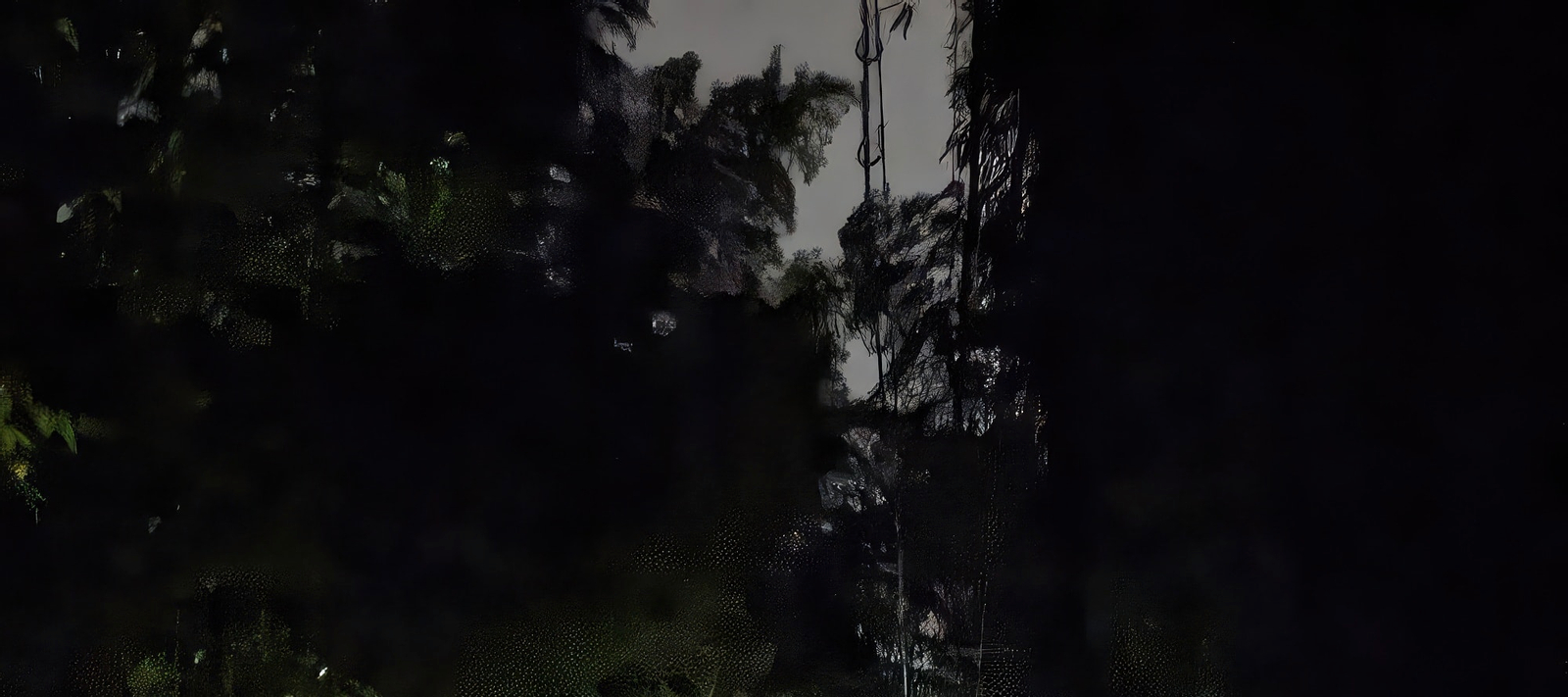 Kyoto Ghost Tour: Bamboo, Unsolved Mysteries & Dark Tales Diskon 50% ...