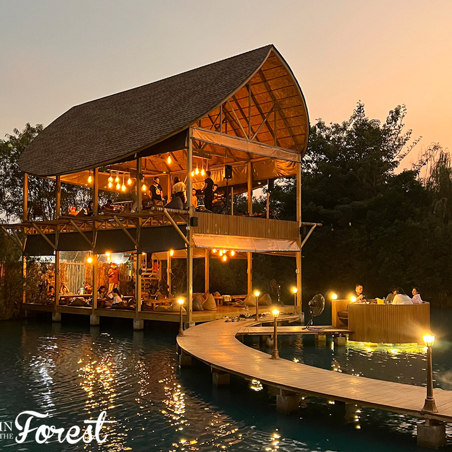 Table reservation in Thailand (Bubble in the forest) 50% Off Ticket Price