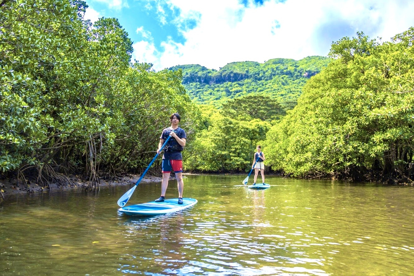 Iriomote Mangrove SUP or Canoe & Canyoning Experience in Okinawa Diskon 50% Harga Paket