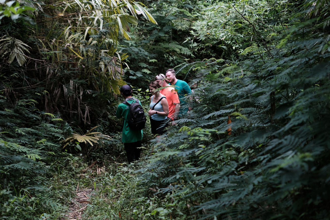 Mt. Merapi Majesty: Soft Trek and Botanic Village Tour Diskon 50% Harga ...